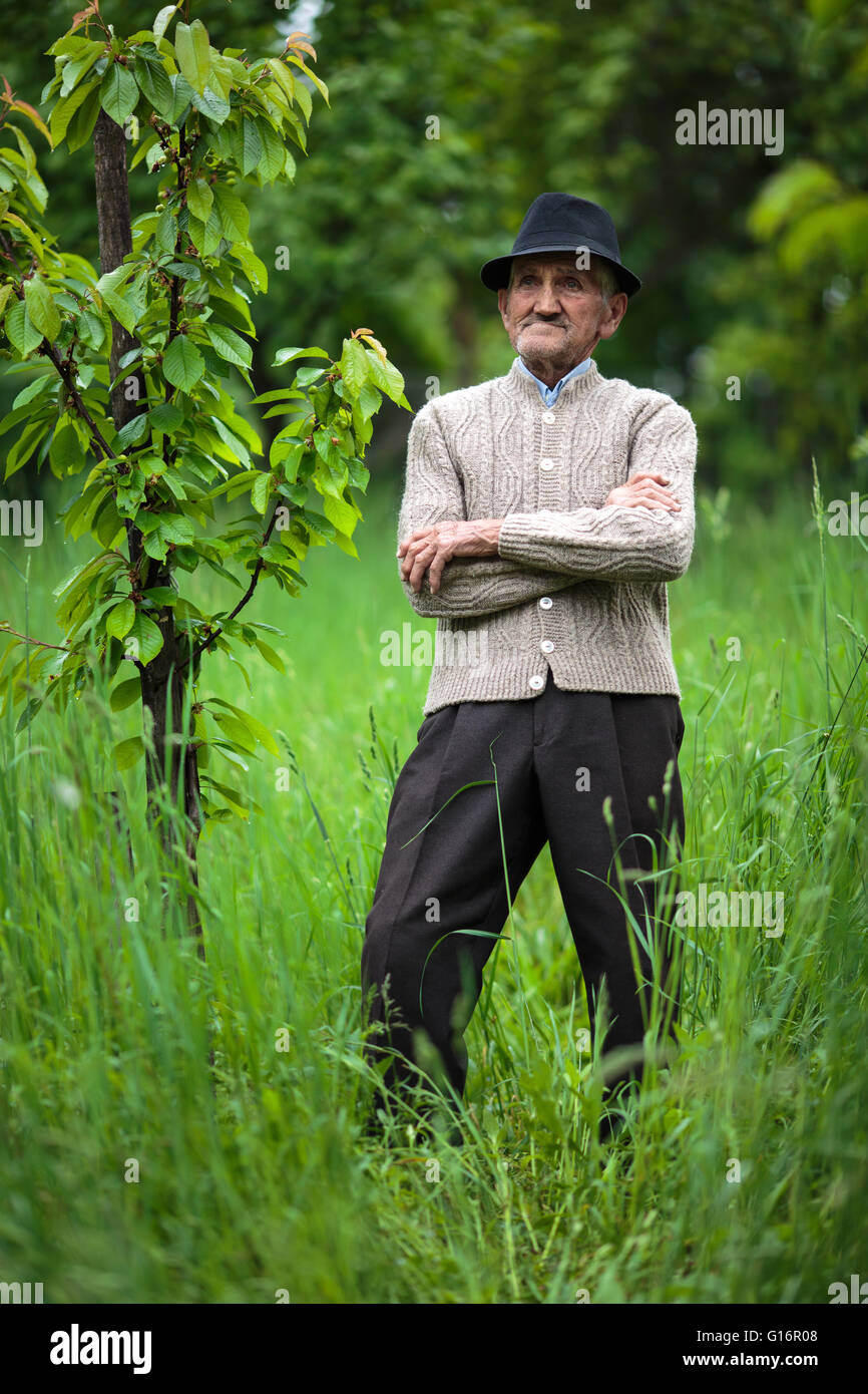 Old man farmer in his orchard of cherry trees Stock Photo - Alamy