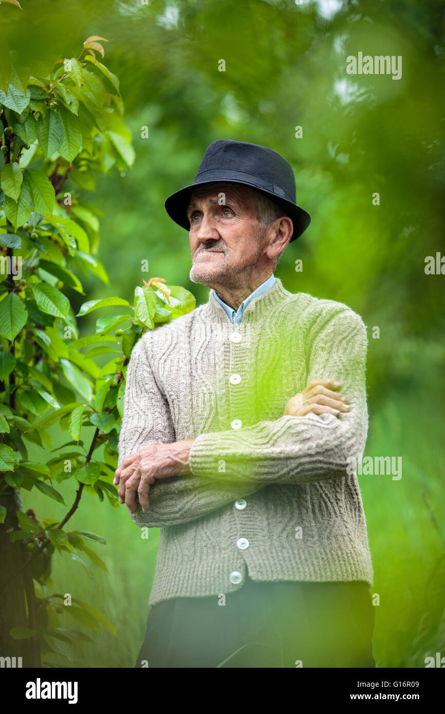 Old man farmer in his orchard of cherry trees Stock Photo - Alamy
