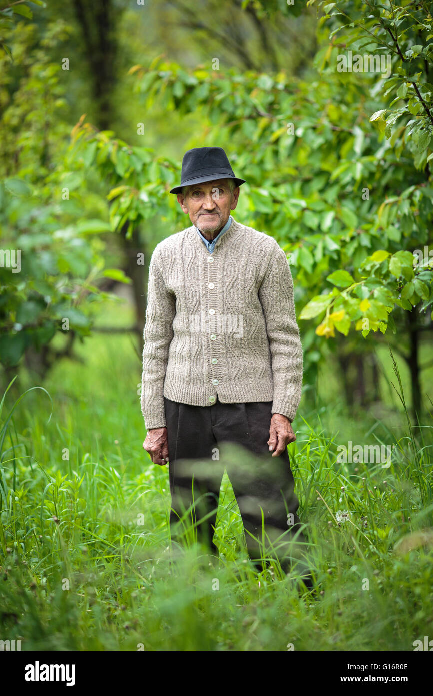 Old man farmer in his orchard of cherry trees Stock Photo - Alamy