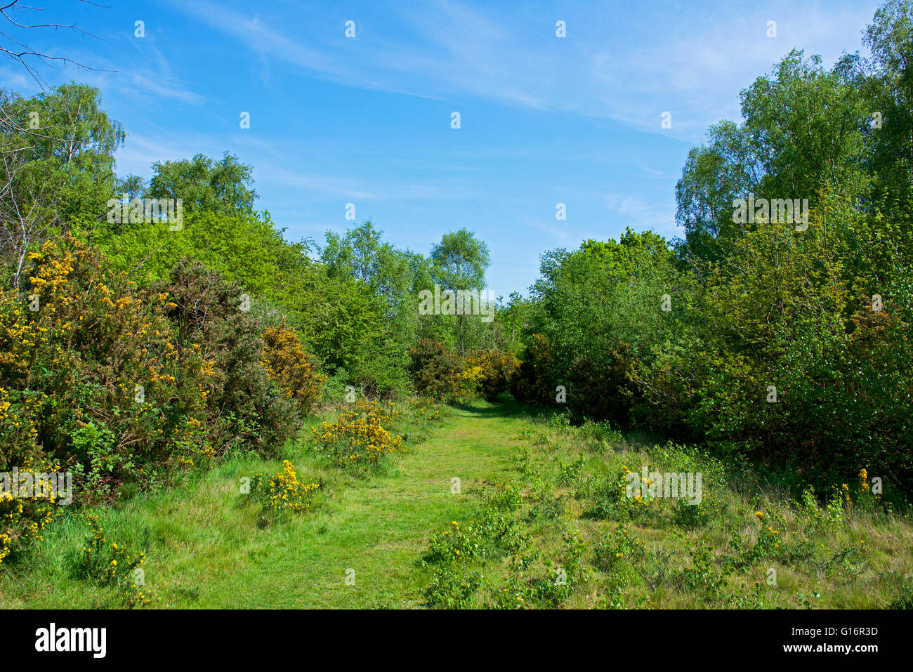 Path through Fingringhoe Wick, an Essex Wildlife Trust nature reserve ...