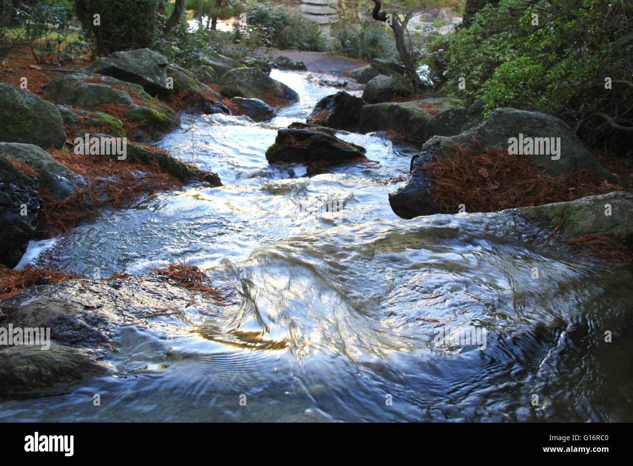 Creek surrounded by plants and rocks Stock Photo - Alamy