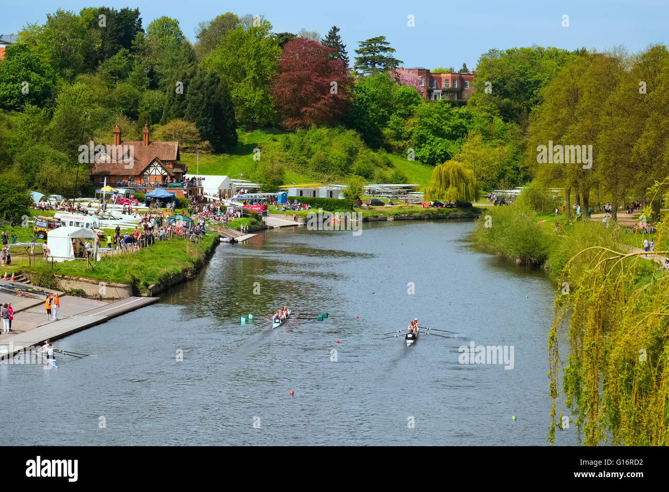 Rowing crews on the River Severn during Shrewsbury Regatta, Shropshire ...