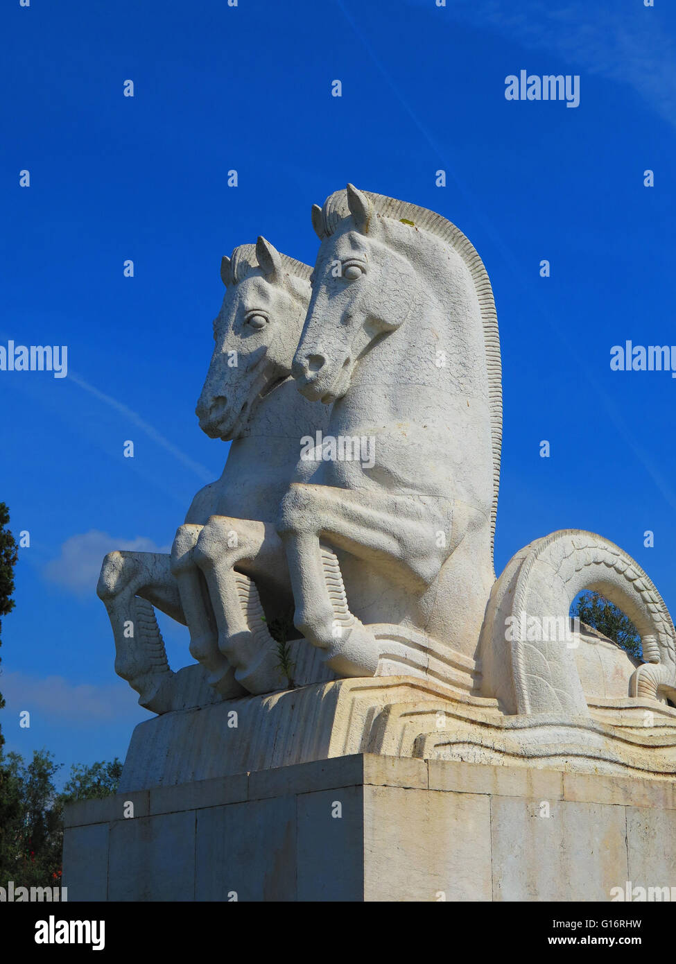 Portuguese horses hi-res stock photography and images - Alamy