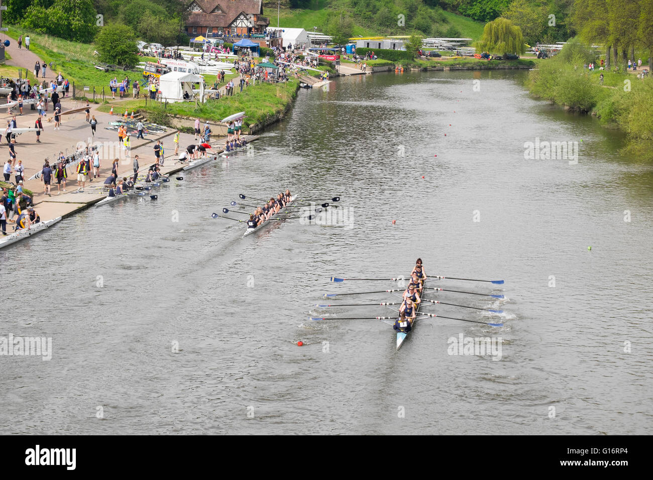 Rowing crews on the River Severn during Shrewsbury Regatta, Shropshire ...