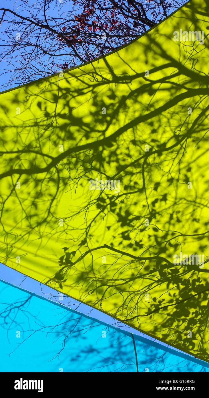 Background with shadows of tree branches colors on canvas Stock Photo ...