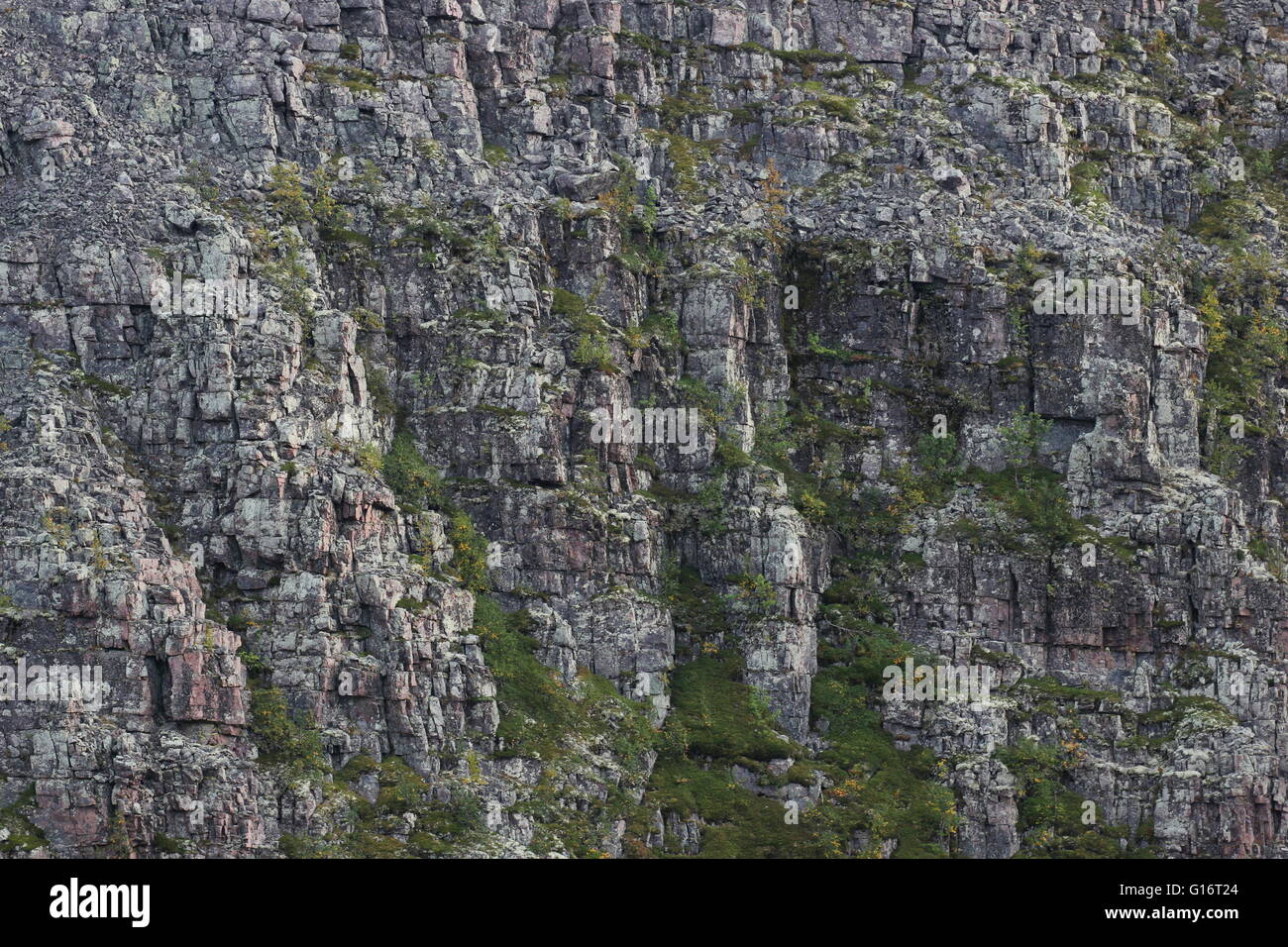Rock cliff with growing plants Stock Photo - Alamy