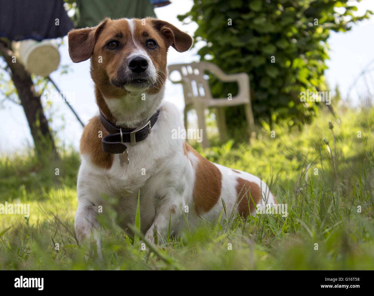 Looking the horizon hi-res stock photography and images - Alamy