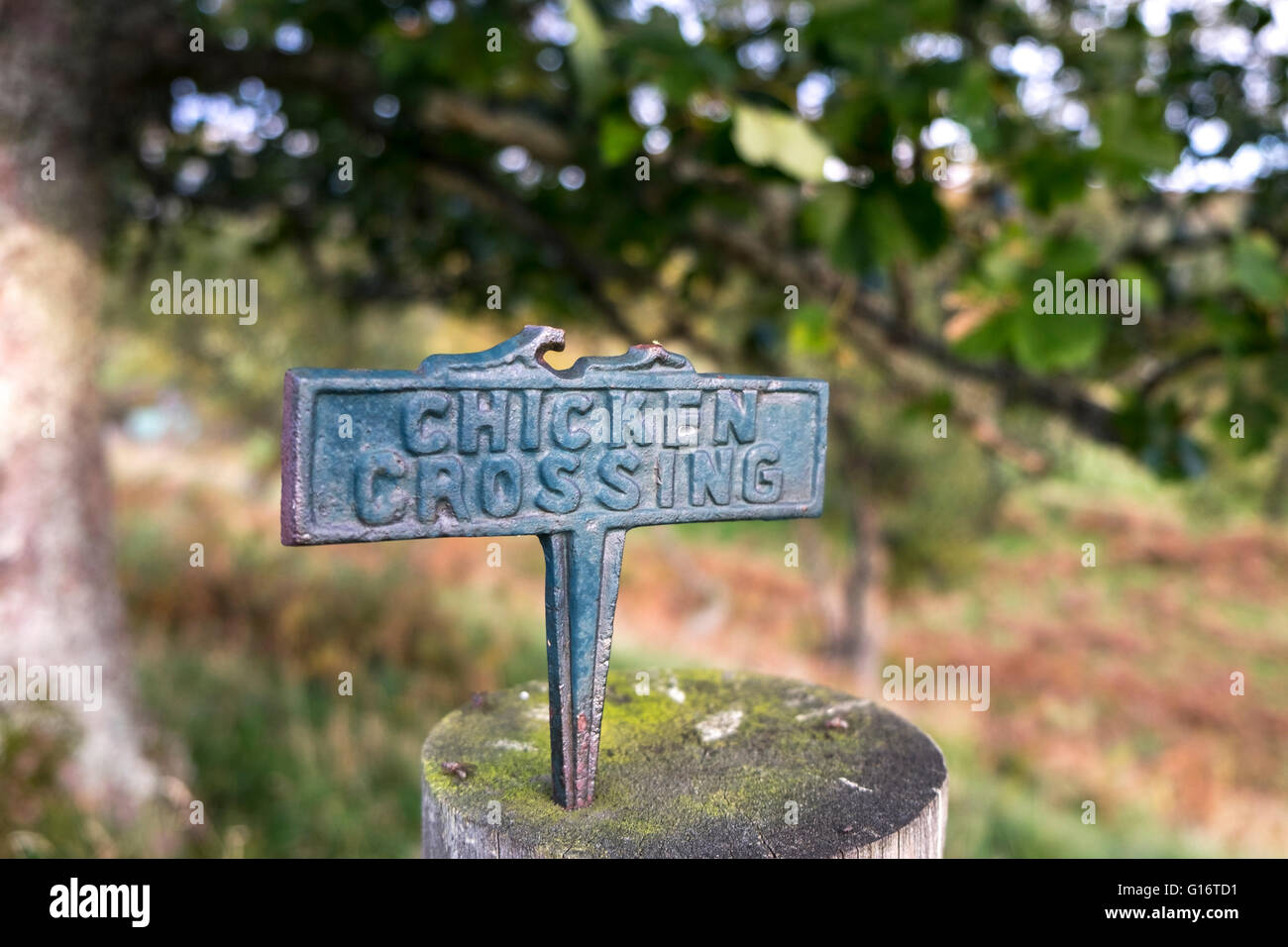 Chicken crossing sign Stock Photo - Alamy
