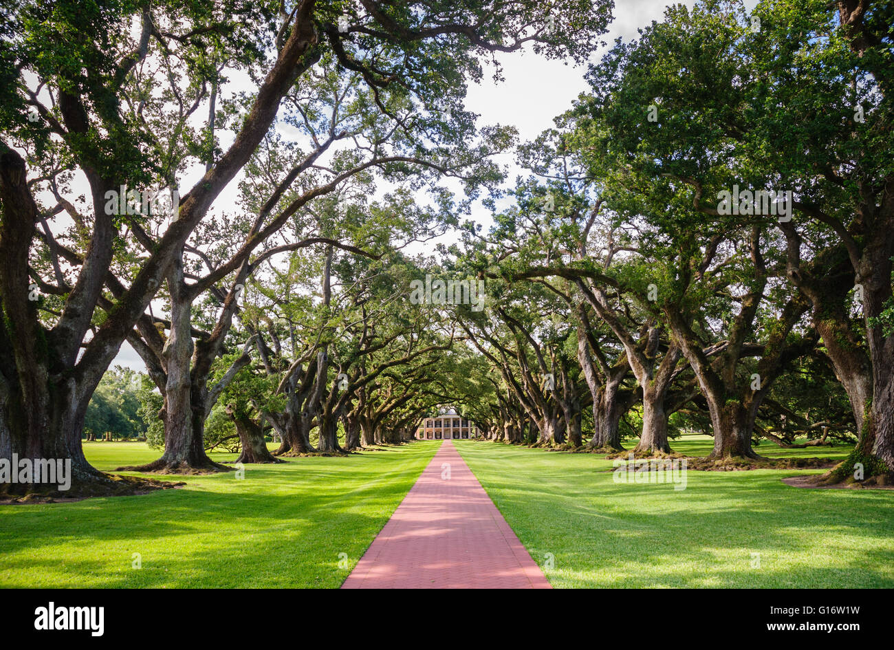 Oak Alley Plantation Stock Photo - Alamy