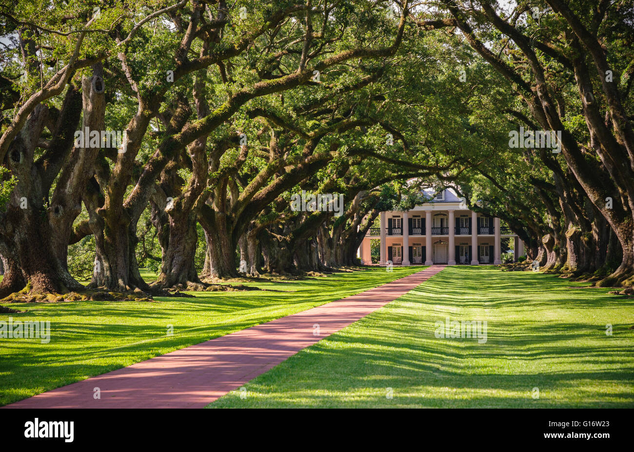 Oak Alley Plantation Stock Photo - Alamy