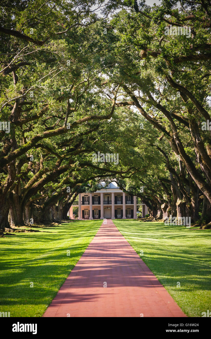 Oak Alley Plantation Stock Photo - Alamy