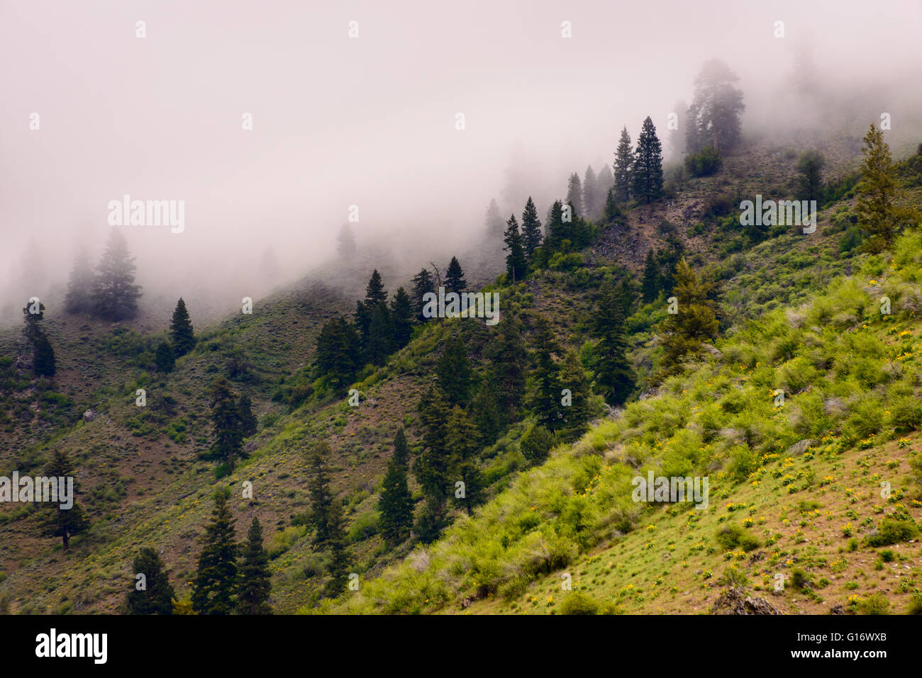 Sawtooth mountains hi-res stock photography and images - Alamy