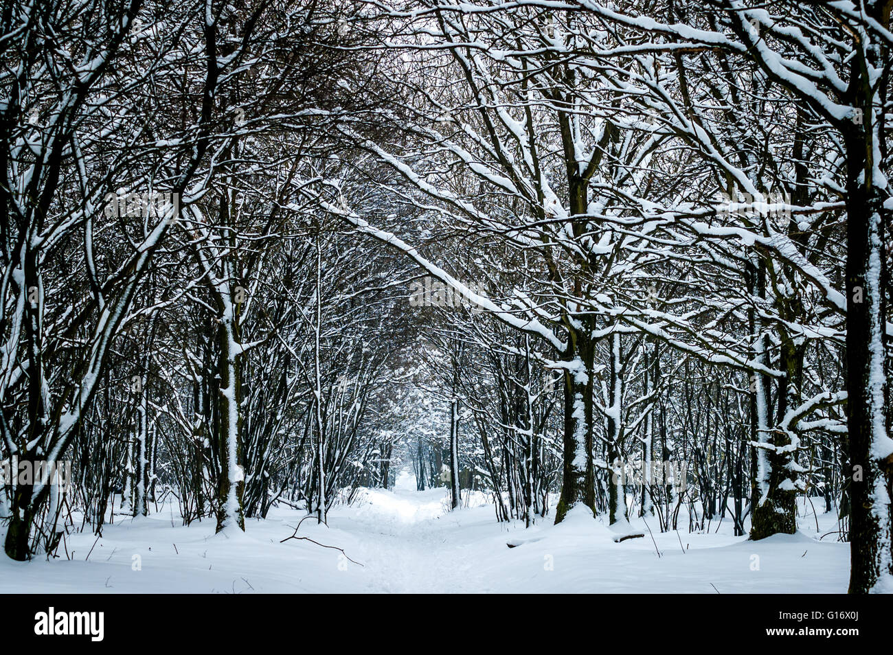Ice covered footpath frozen hi-res stock photography and images - Alamy
