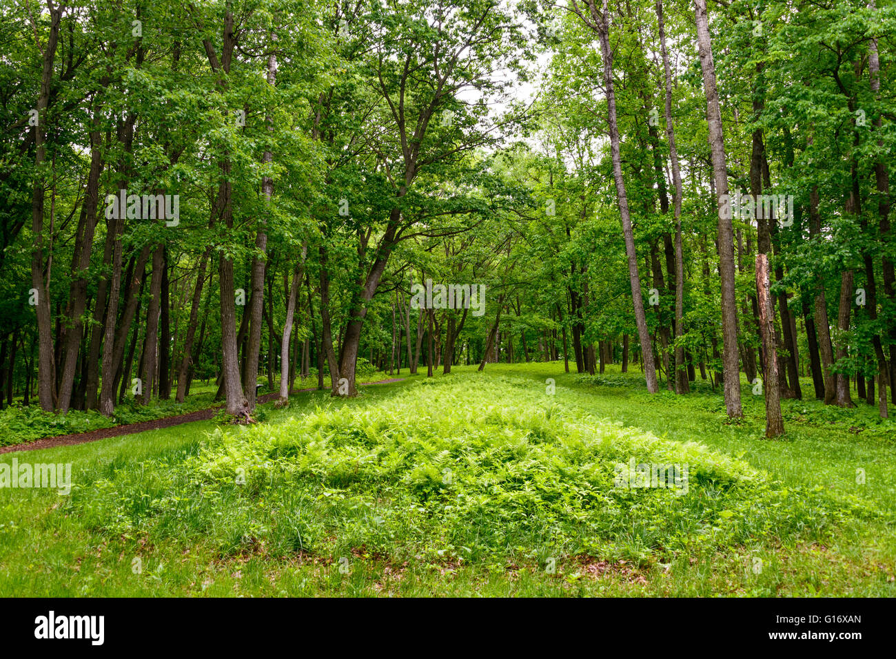 Effigy mounds wisconsin hi-res stock photography and images - Alamy