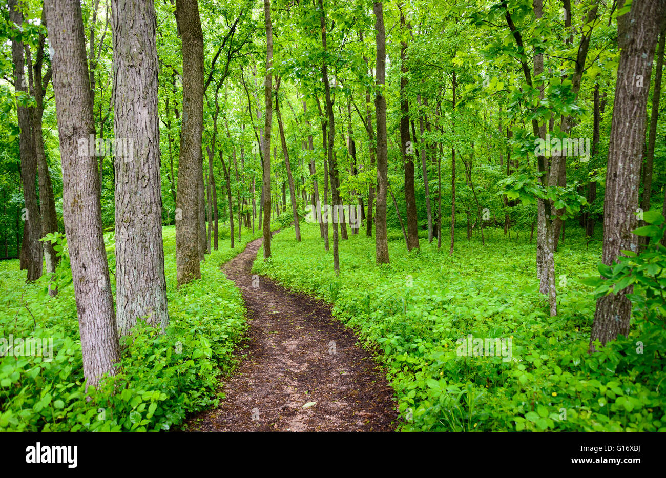 Effigy Mounds National Monument Stock Photo - Alamy