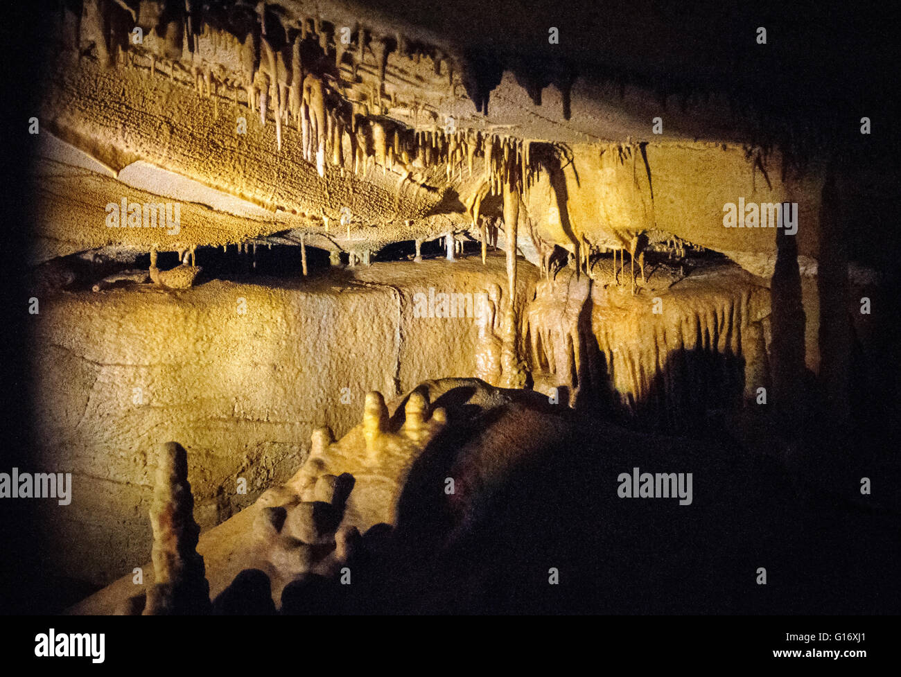 Mammoth Cave National Park Stock Photo - Alamy