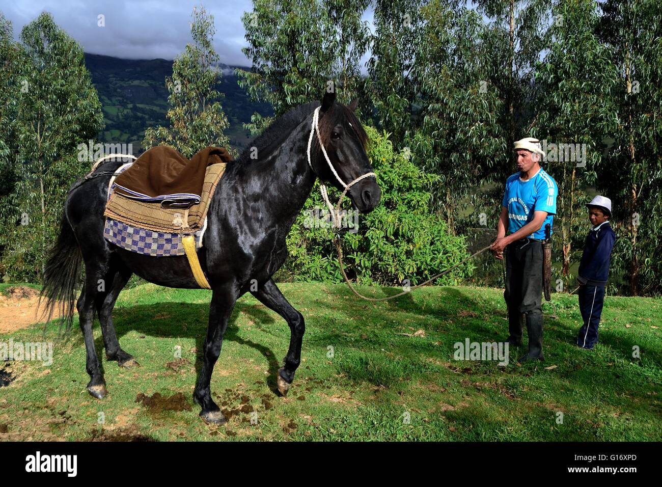 Farm in Pulun " Las Huaringas " - HUANCABAMBA.. Department of Piura ...