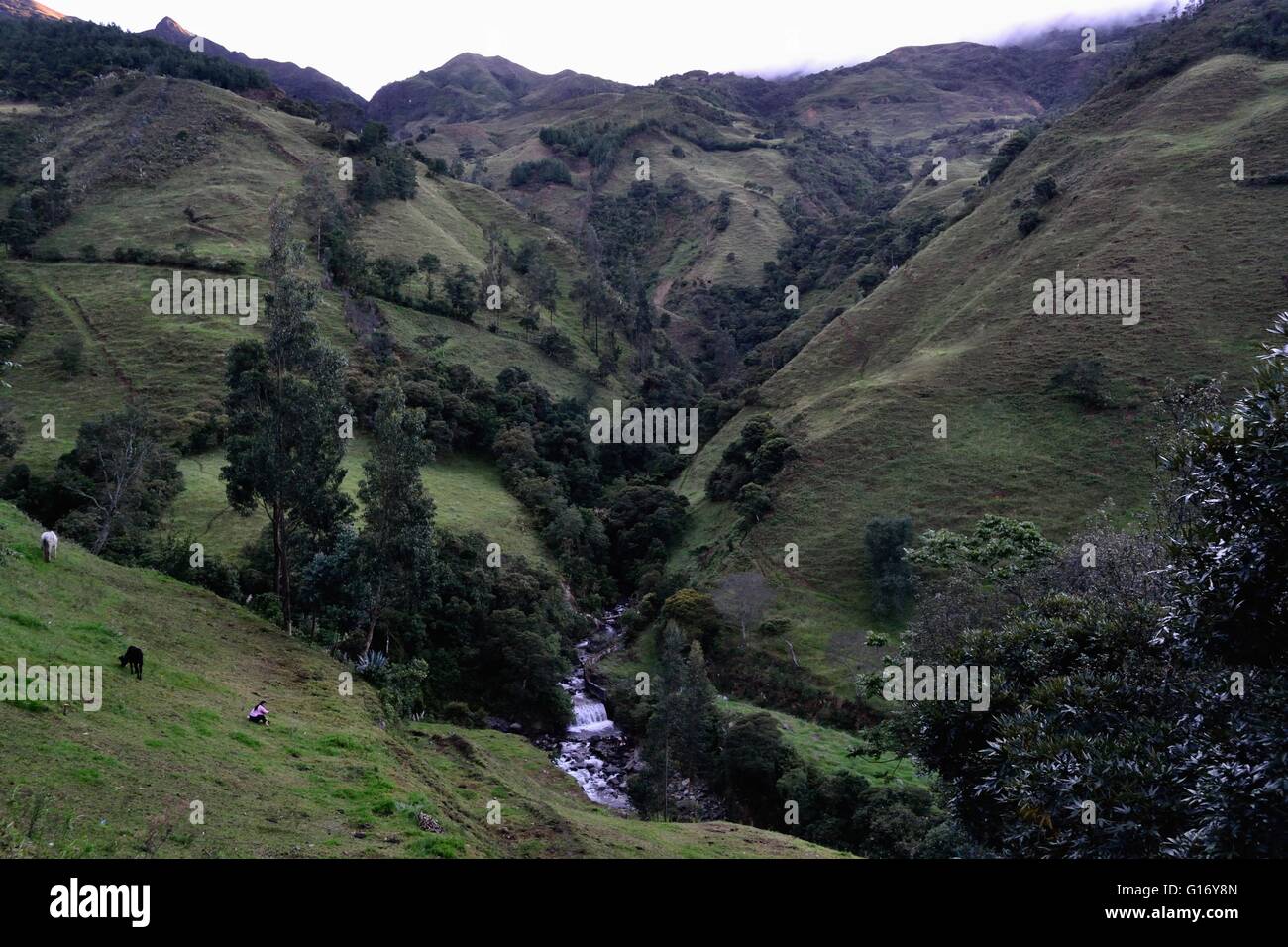 Landscape in Sapalache " Las Huaringas " - HUANCABAMBA.. Department of ...