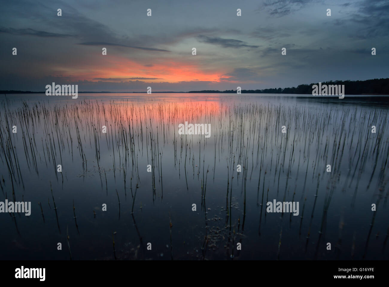 Nature after sunset hi-res stock photography and images - Alamy