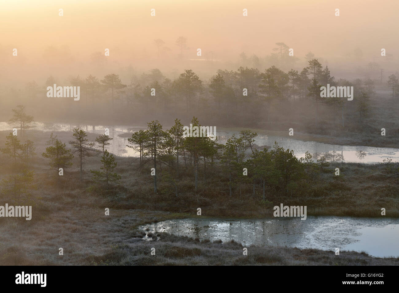 Mist and sunrise hi-res stock photography and images - Alamy