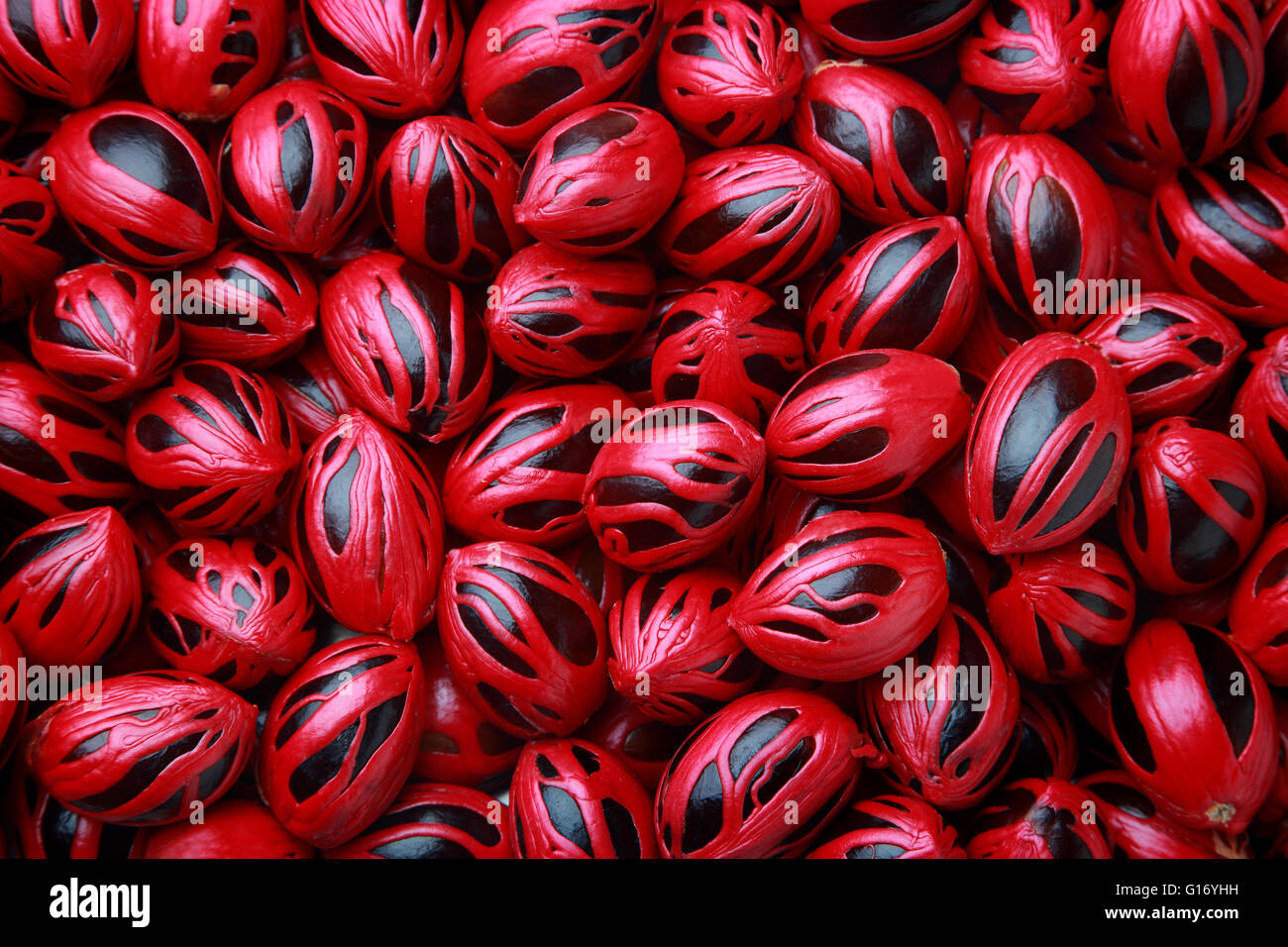 Nutmeg seeds background Stock Photo - Alamy