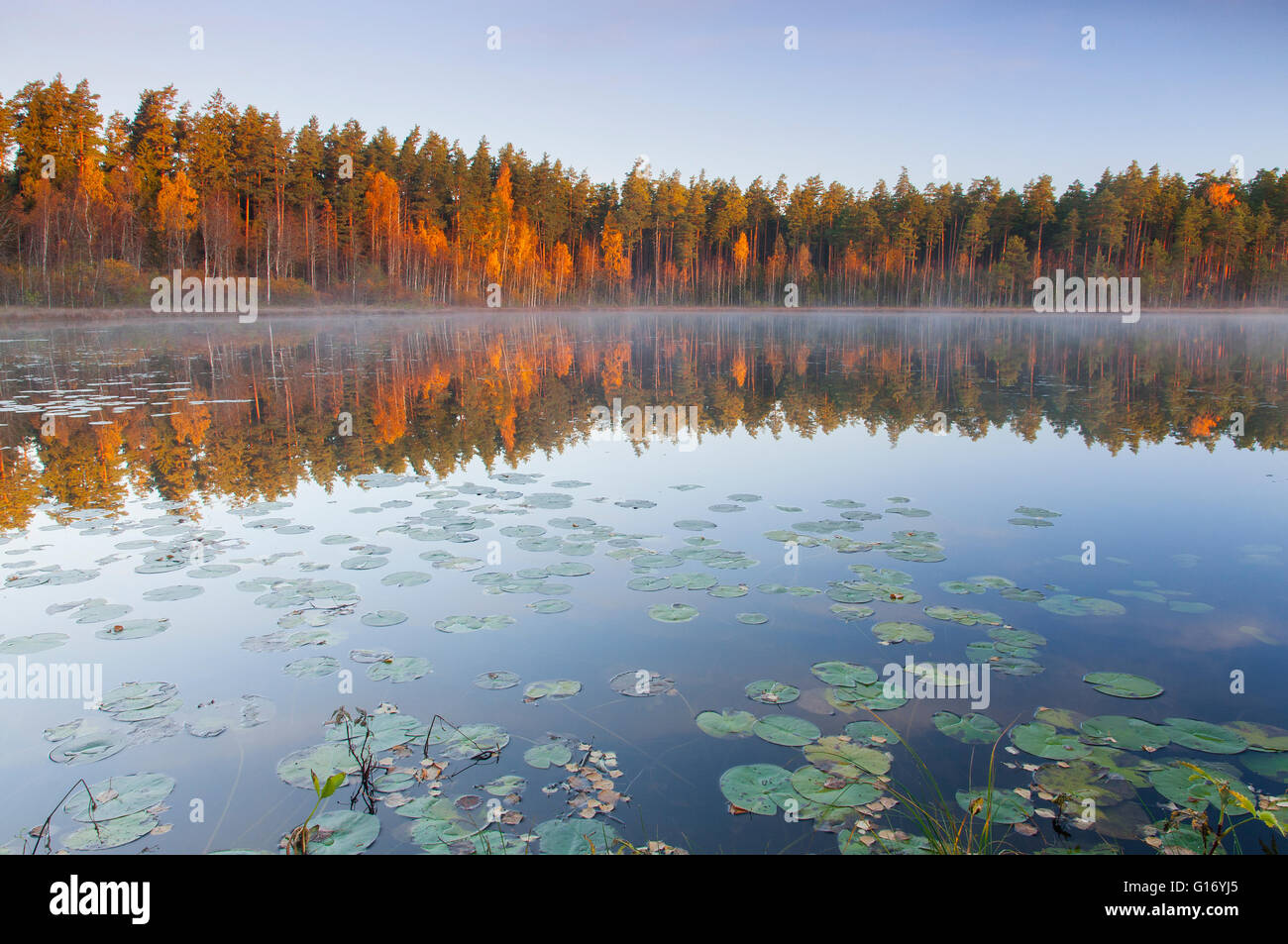 Sunny autumn morning at the lake Stock Photo - Alamy