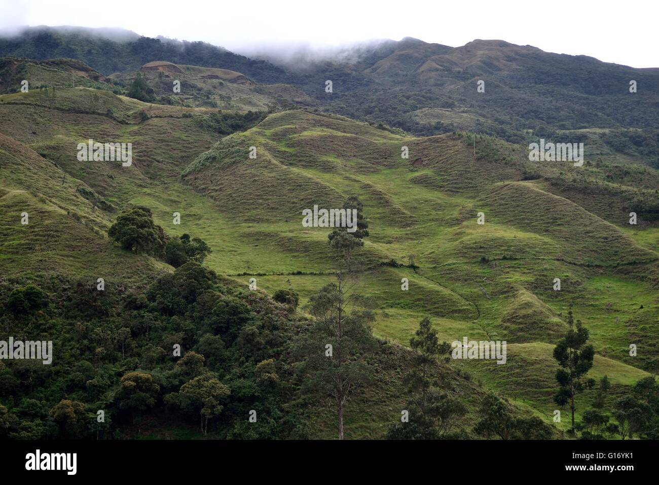 Landscape in Sapalache " Las Huaringas " - HUANCABAMBA.. Department of ...