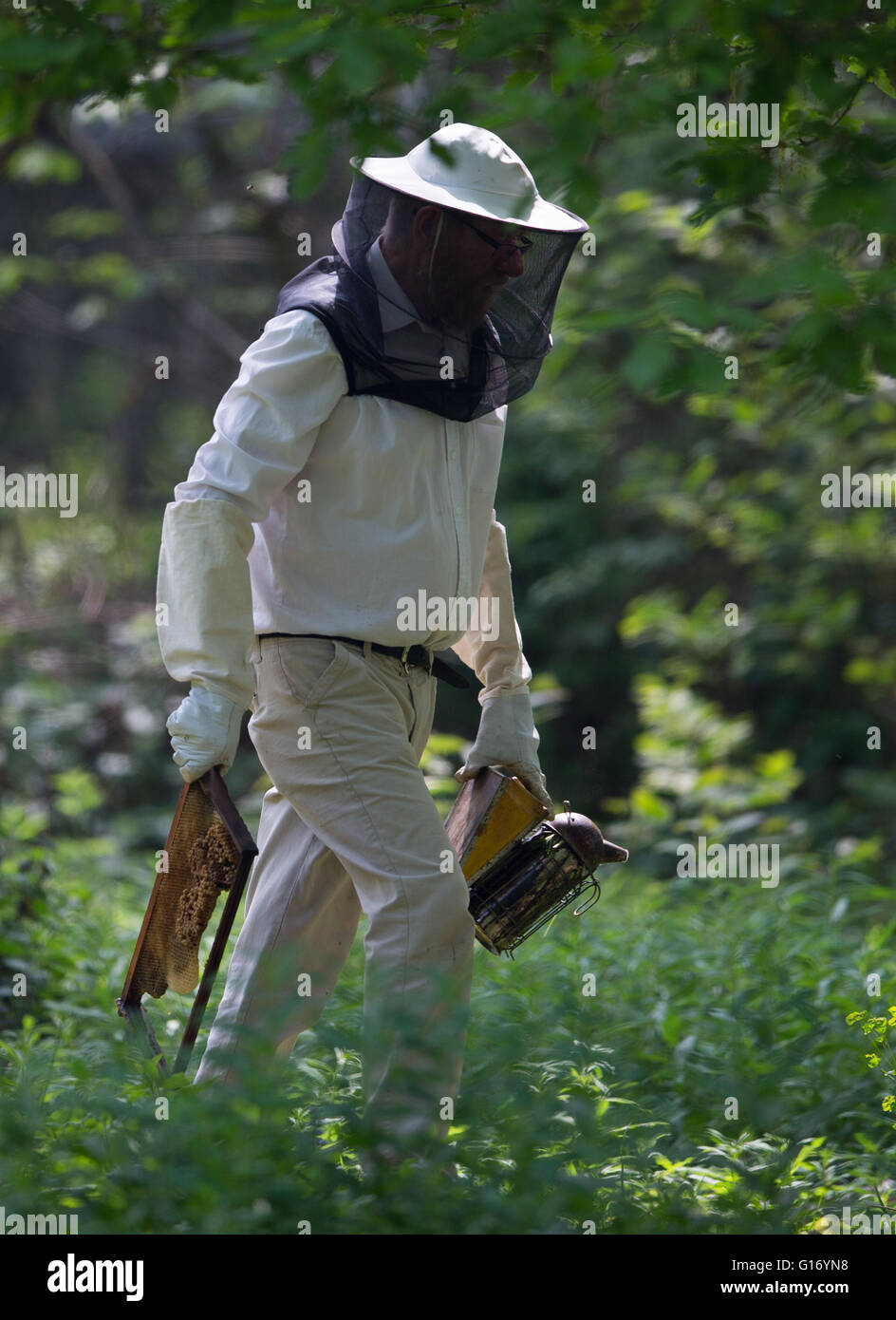 Bee keepers hi-res stock photography and images - Alamy