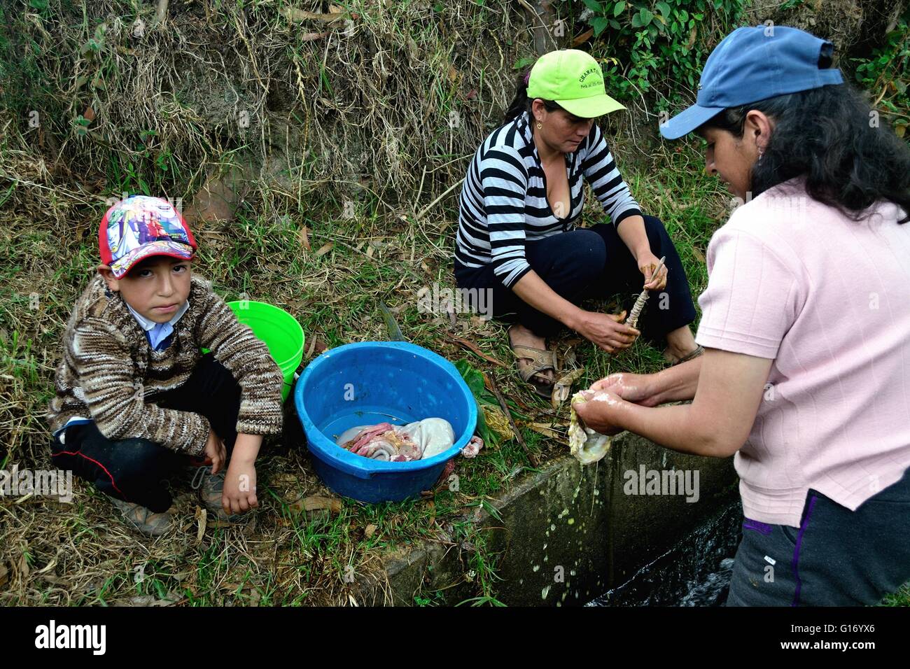 Farmer cleaning sheep intestines in Pulun " Las Huaringas ...