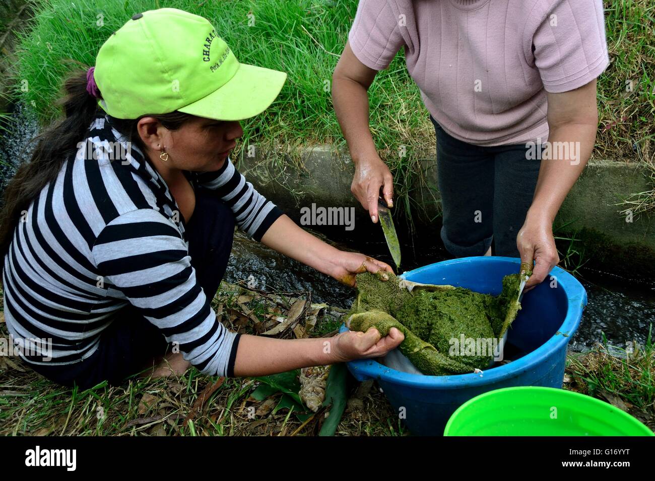 Farmer cleaning sheep intestines in Pulun " Las Huaringas ...