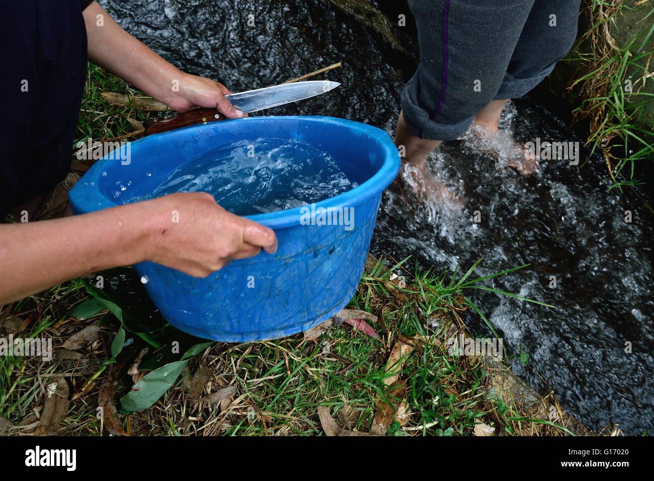 Farmer cleaning sheep intestines in Pulun " Las Huaringas ...