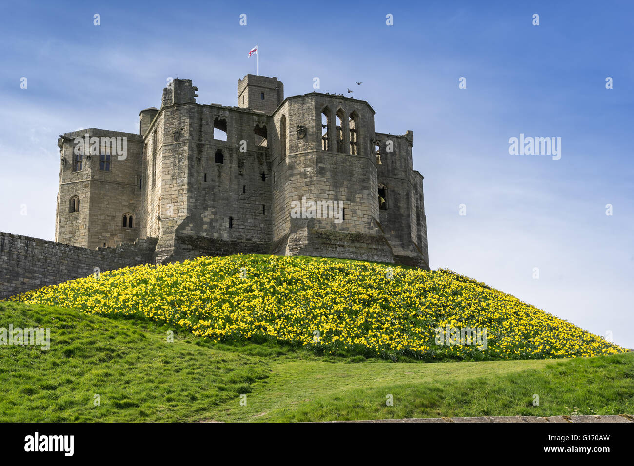 Warkworth Castle in Northumberland Stock Photo - Alamy