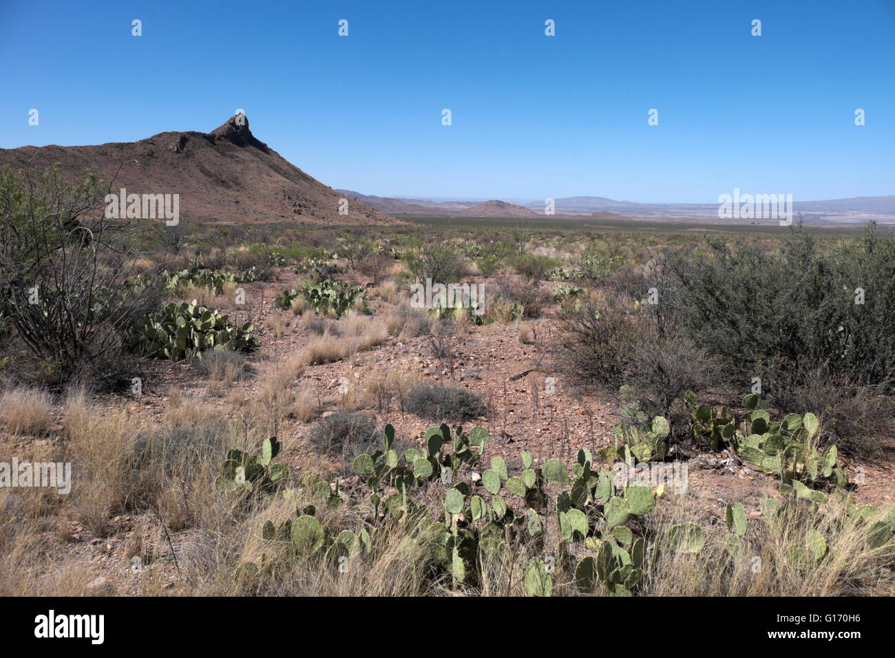 Chisos Basin in the Big Bend National Park Stock Photo - Alamy