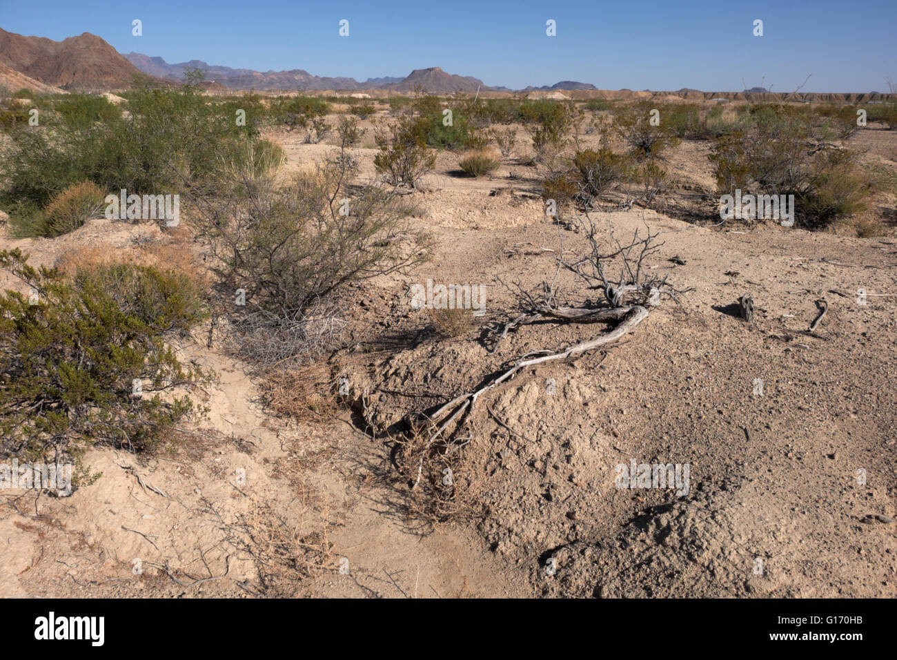 Study butte texas hi-res stock photography and images - Alamy