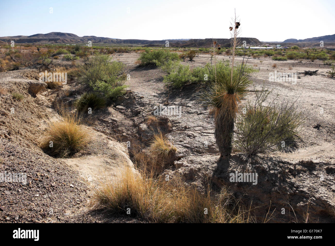 Desert flood plain just outside the Big Bend National Park at Study ...