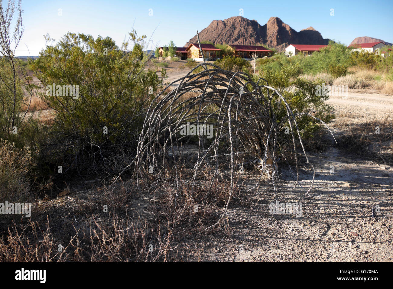 Desert floor at Study Butte, Texas, just west of the Big Bend National ...