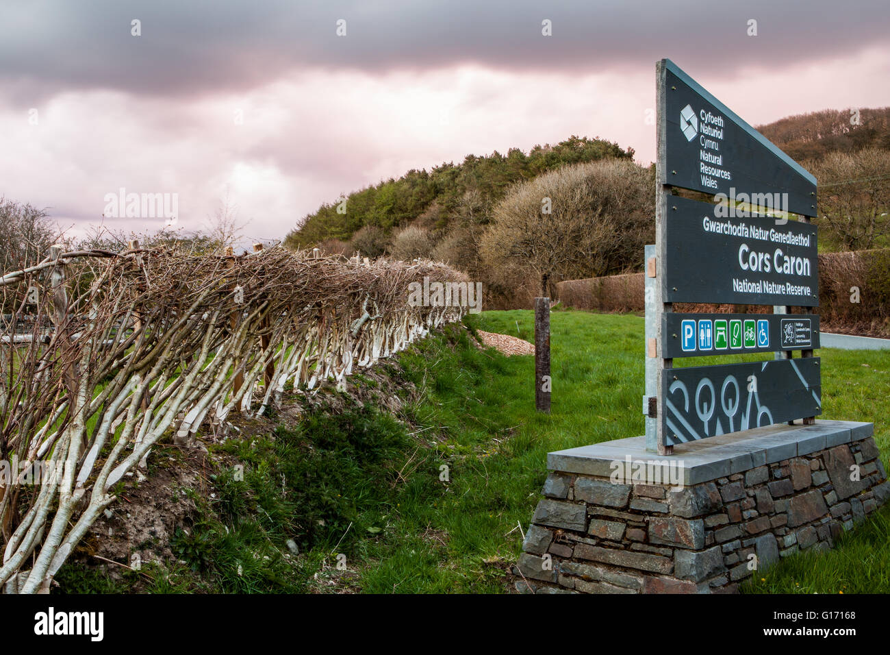Cors Caron national nature reserve, Wales UK Stock Photo - Alamy