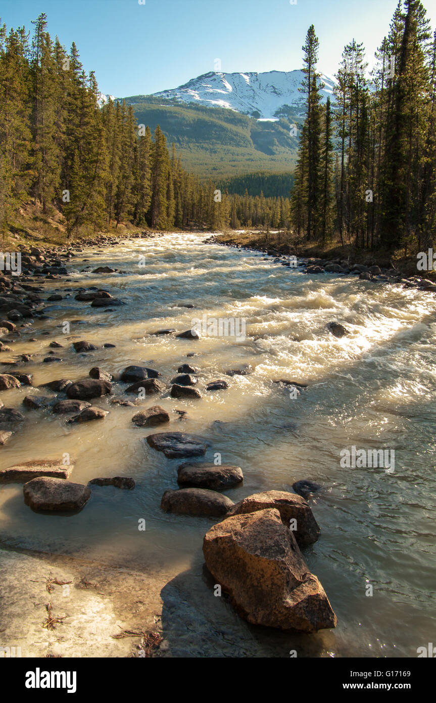 Sunwapta river hi-res stock photography and images - Alamy