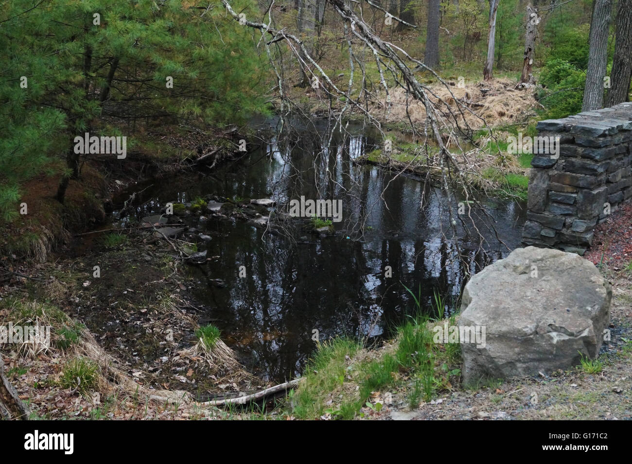 A small creek Stock Photo - Alamy