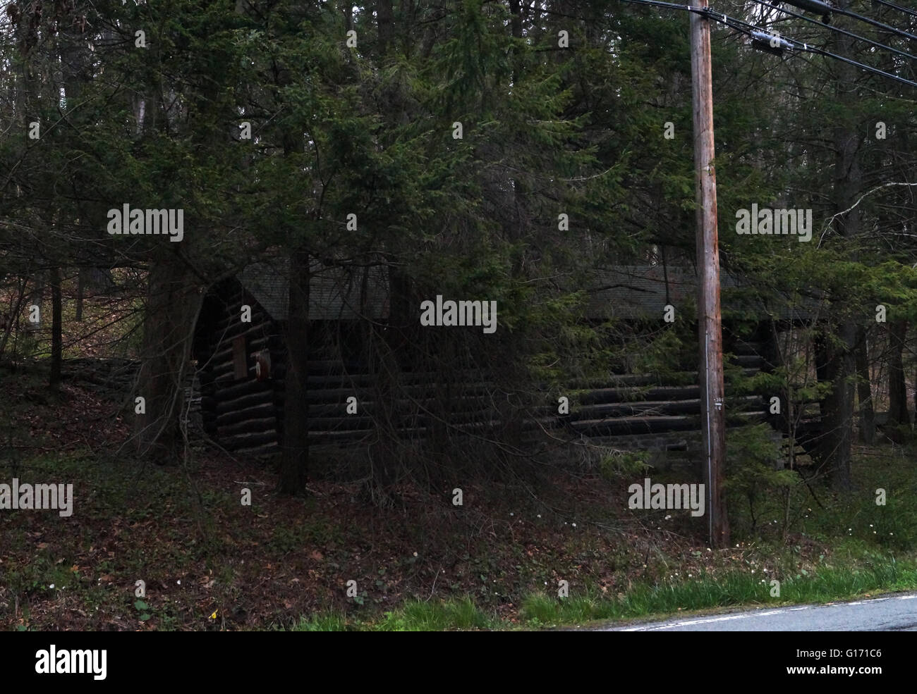A log cabin in the woods Stock Photo - Alamy