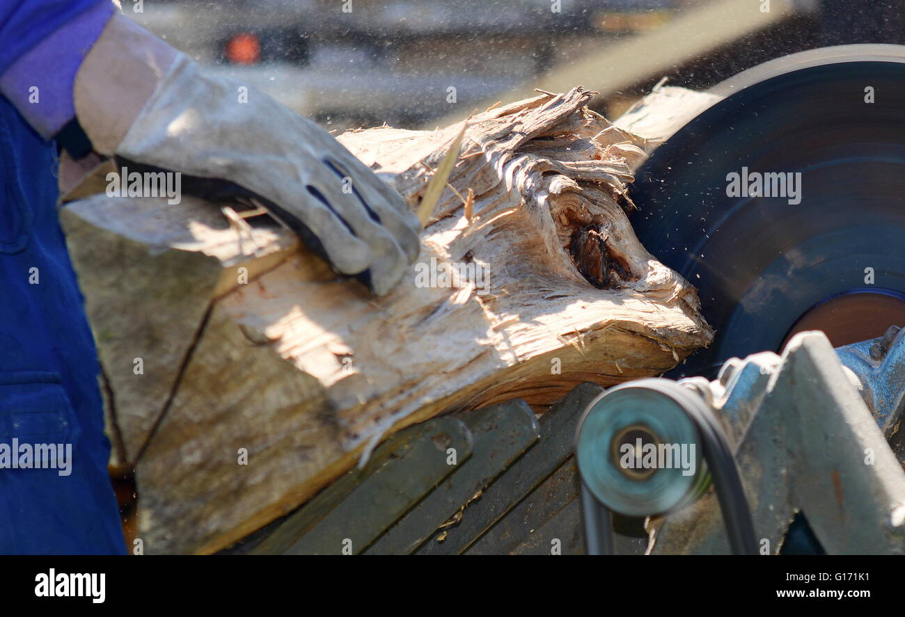 Man cutting the log on circular saw in garden. Cutting wood Cutting log. Woodworking in garden Stock Photo Alamy