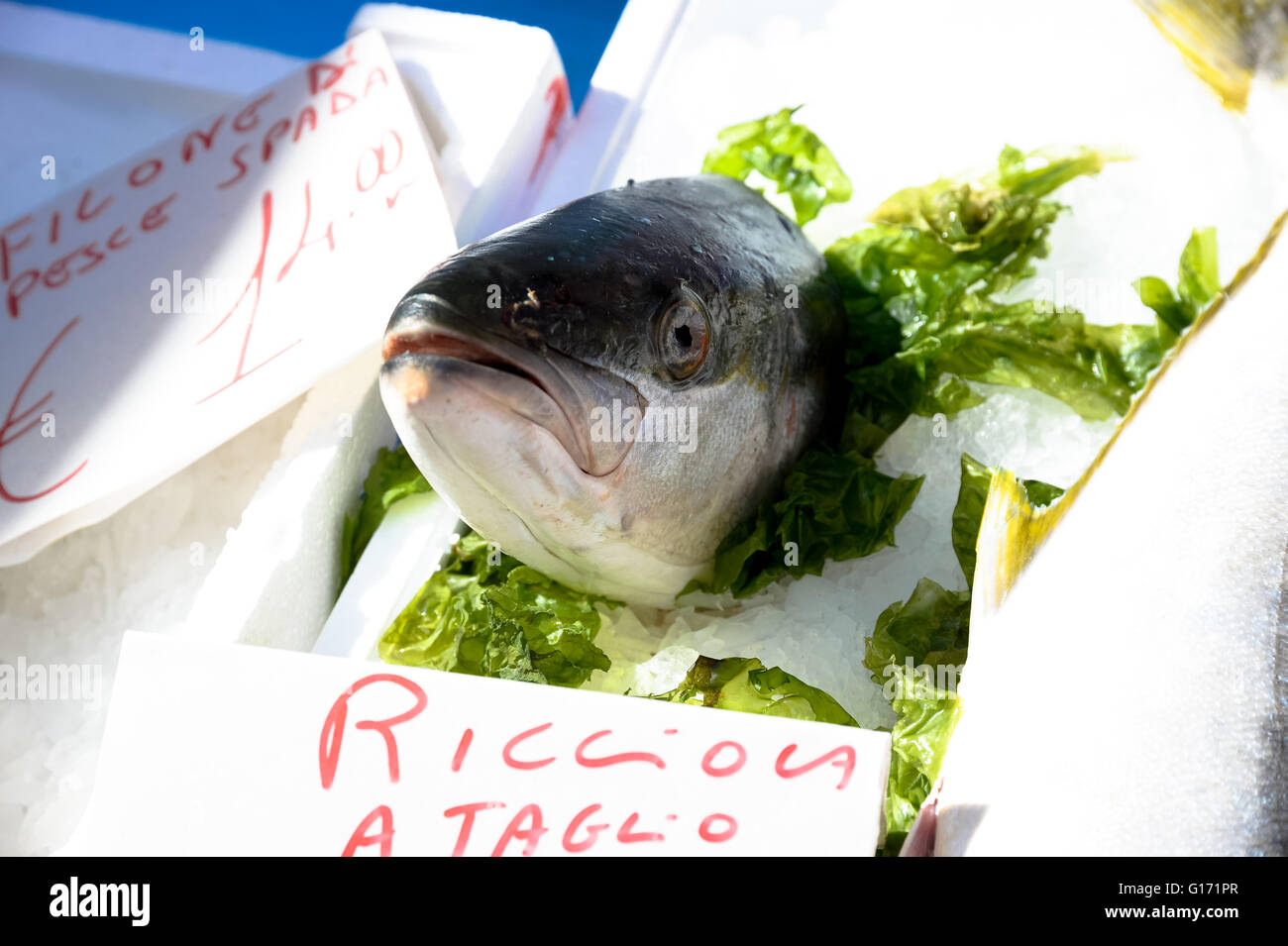 Ricciola (yellowtail fish) in market in Naples, Italy Stock Photo - Alamy