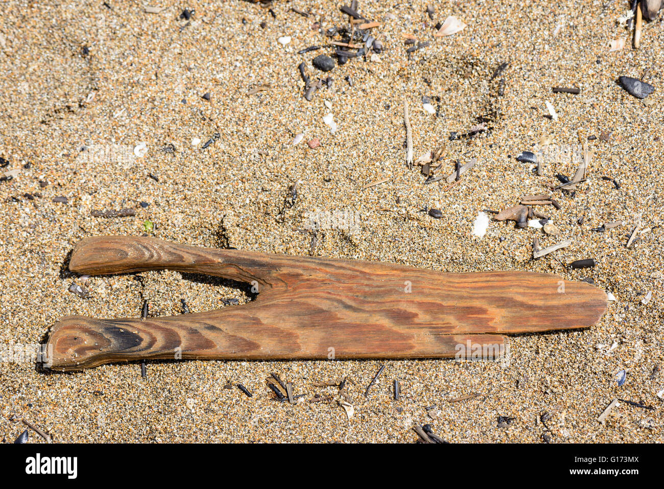 piece of wood with strange shape on the sand Stock Photo - Alamy