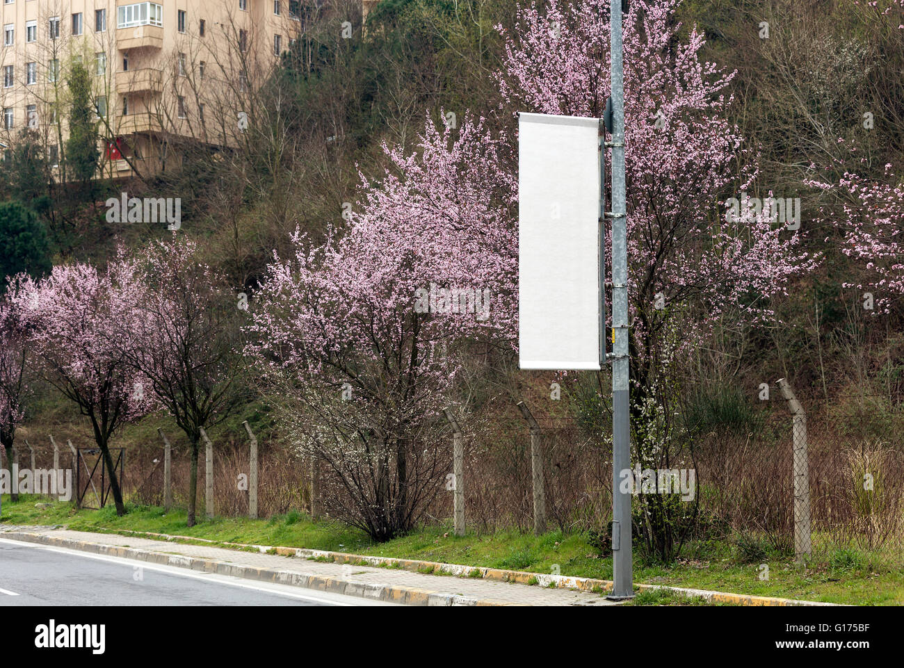 Banner ad image hi-res stock photography and images - Alamy