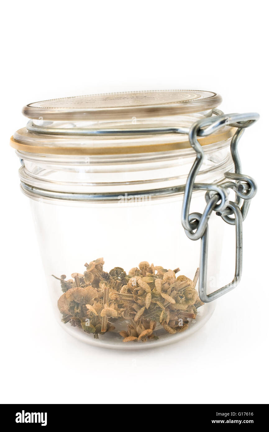 Jar with dried basil isolated on white Stock Photo - Alamy