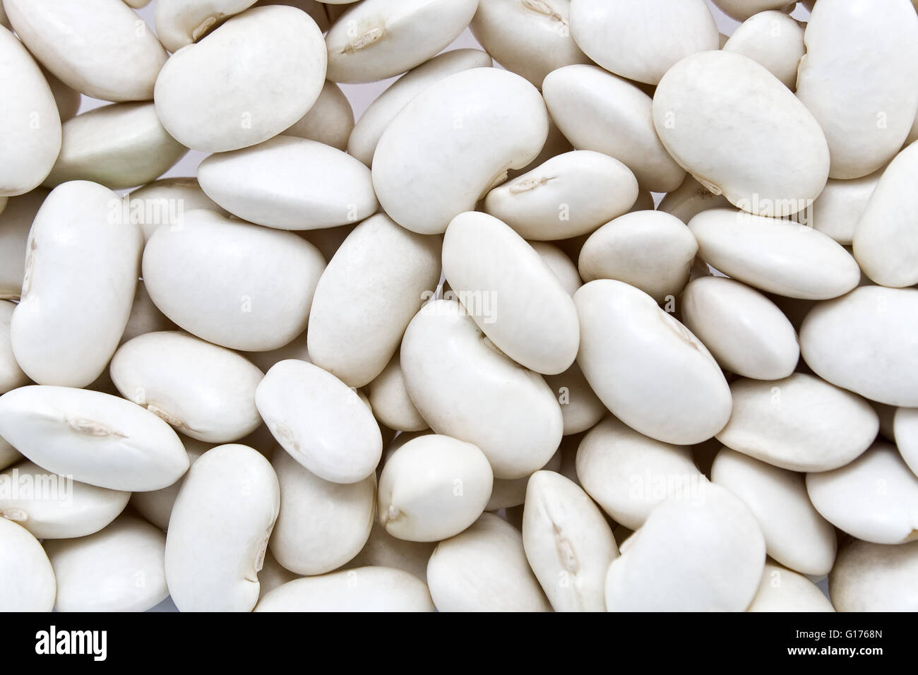 White bean background Stock Photo - Alamy