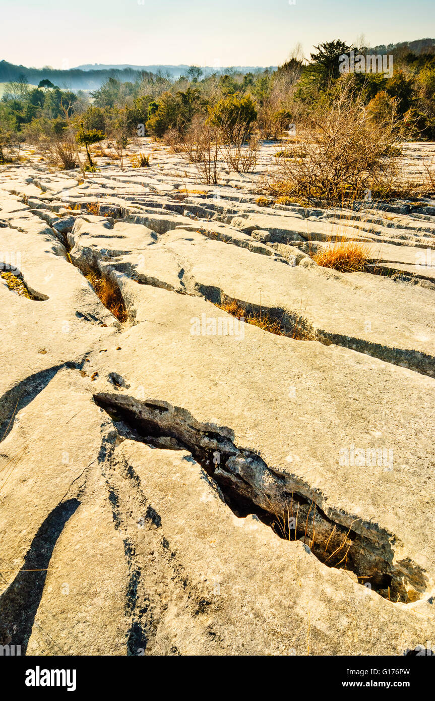 Limestone pavement at Gait Barrows National Nature Reserve in the ...