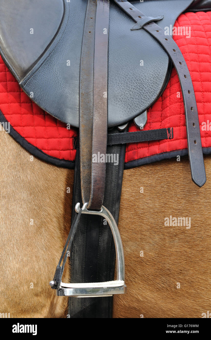 Horse saddle and blanket hi-res stock photography and images - Alamy
