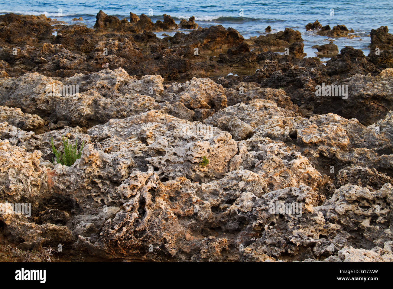 Eroded limestone rocks, a wave-cut platform on the coast of the Greek ...