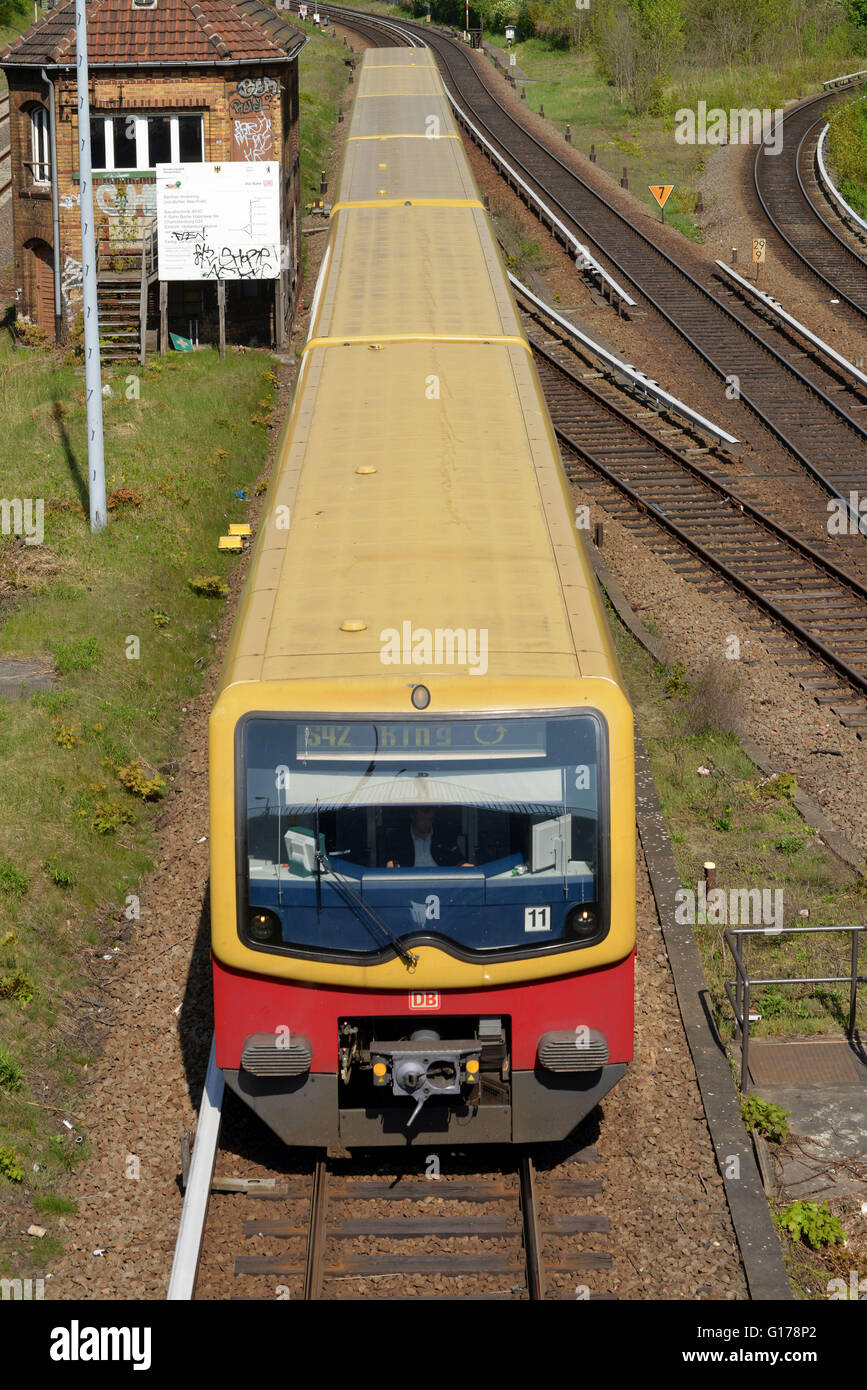 S-Bahn, Ringbahn S 42, Berlin, Deutschland / Strassenbahn Stock Photo ...